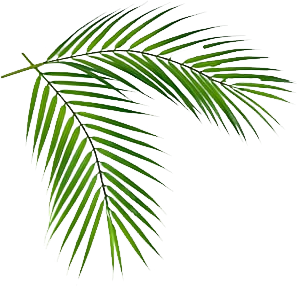 Boissons gazeuses Tunisie | SNBG - Société Nouvelle des Boissons Gazeuses